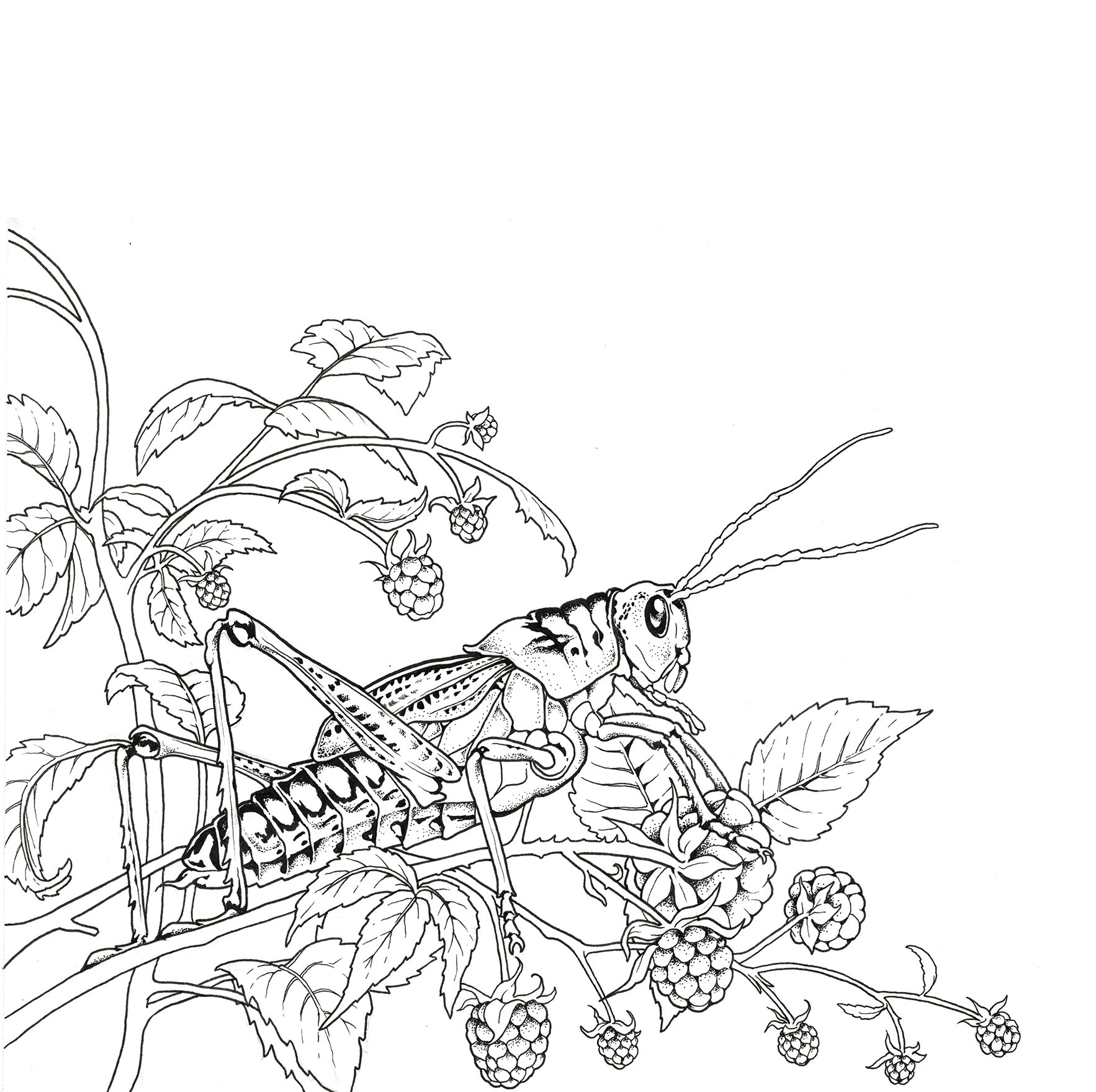 Microcosme – Mathilde Cathelain